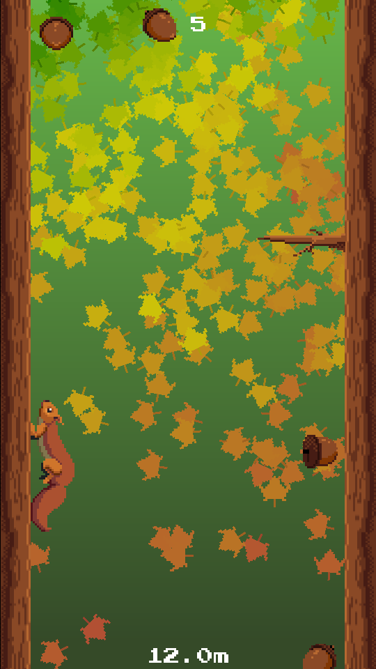 Squirrel-Run by Jan Schneider