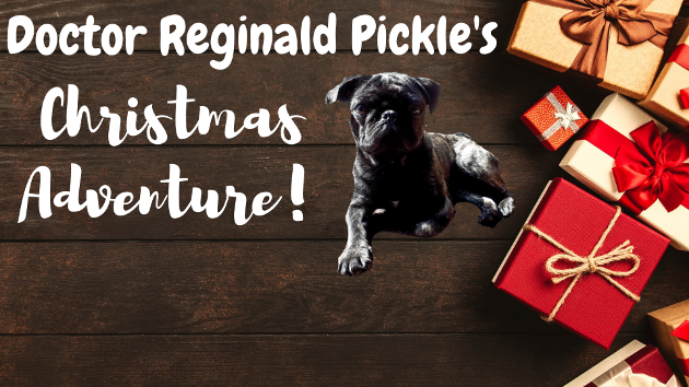 Doctor Reginald Pickle's Christmas Adventure by yarc