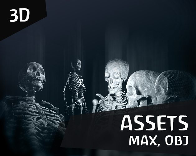 Assets: Human Skeleton [3D Model] by Wenrexa