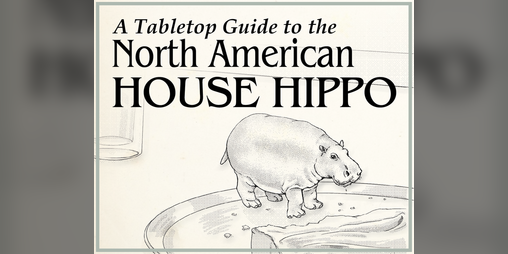 A Tabletop Guide to the North American House Hippo by UnabashedlyRose