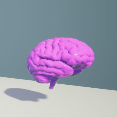 Empty Brain by Mokshith