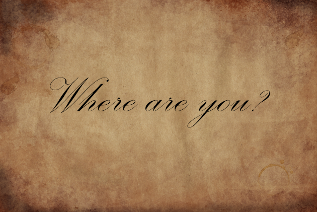 Where are you? by lluispalerm