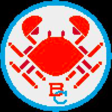Baltimore Crabs Cross-Stitch Logo by Large Recycling Man