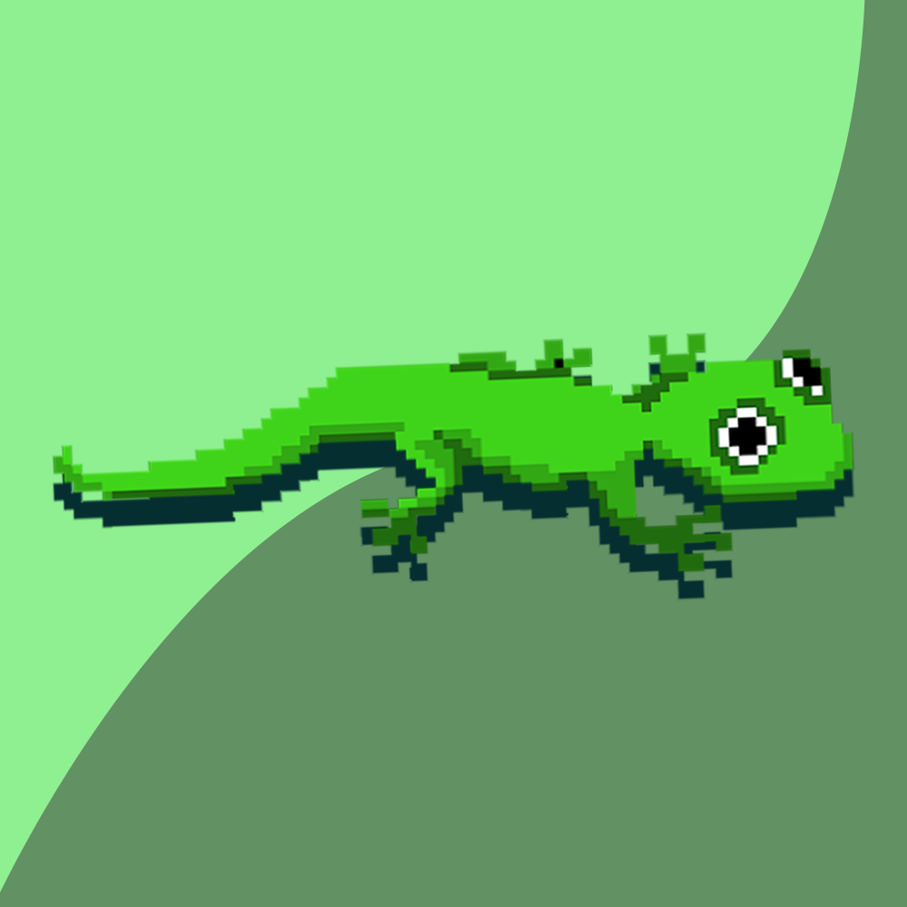 Gecko Run by ZYGER