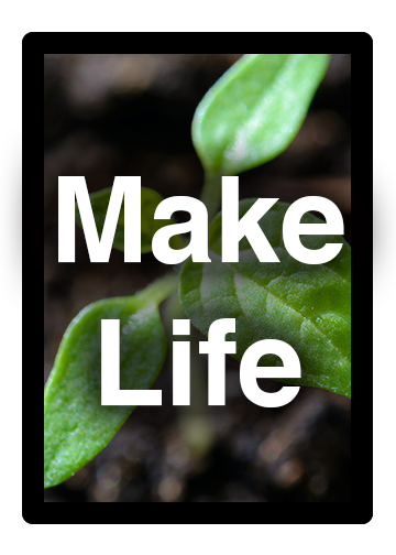 Make Life (Tabletop Simulator Card Game) by Kyle Wynn