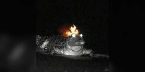 Accurate Fire Gator Simulator by SirMilkman