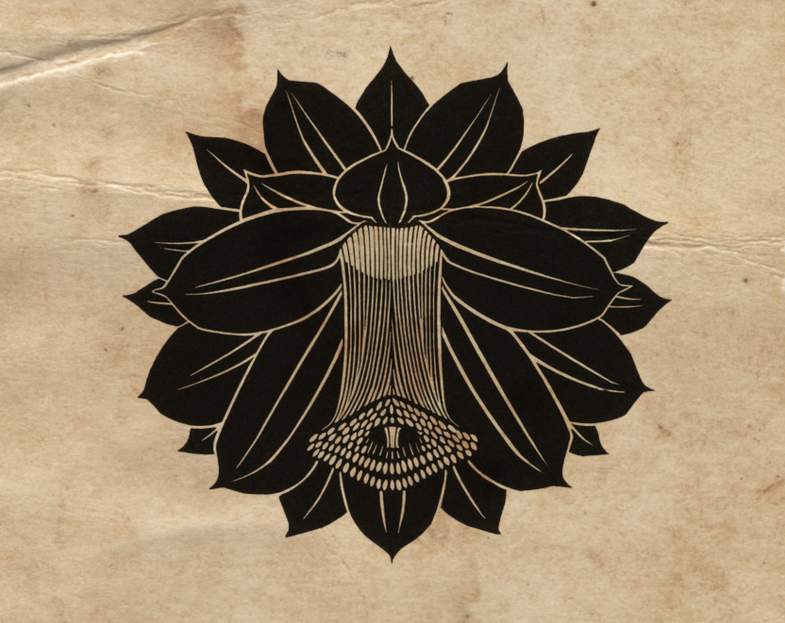 The Three Entities at the Flower Farm by BHAIRAVA