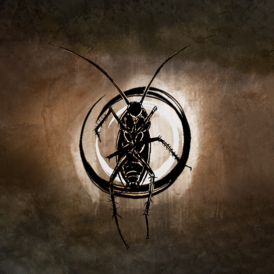 Disorder by Chaos and Order XIII