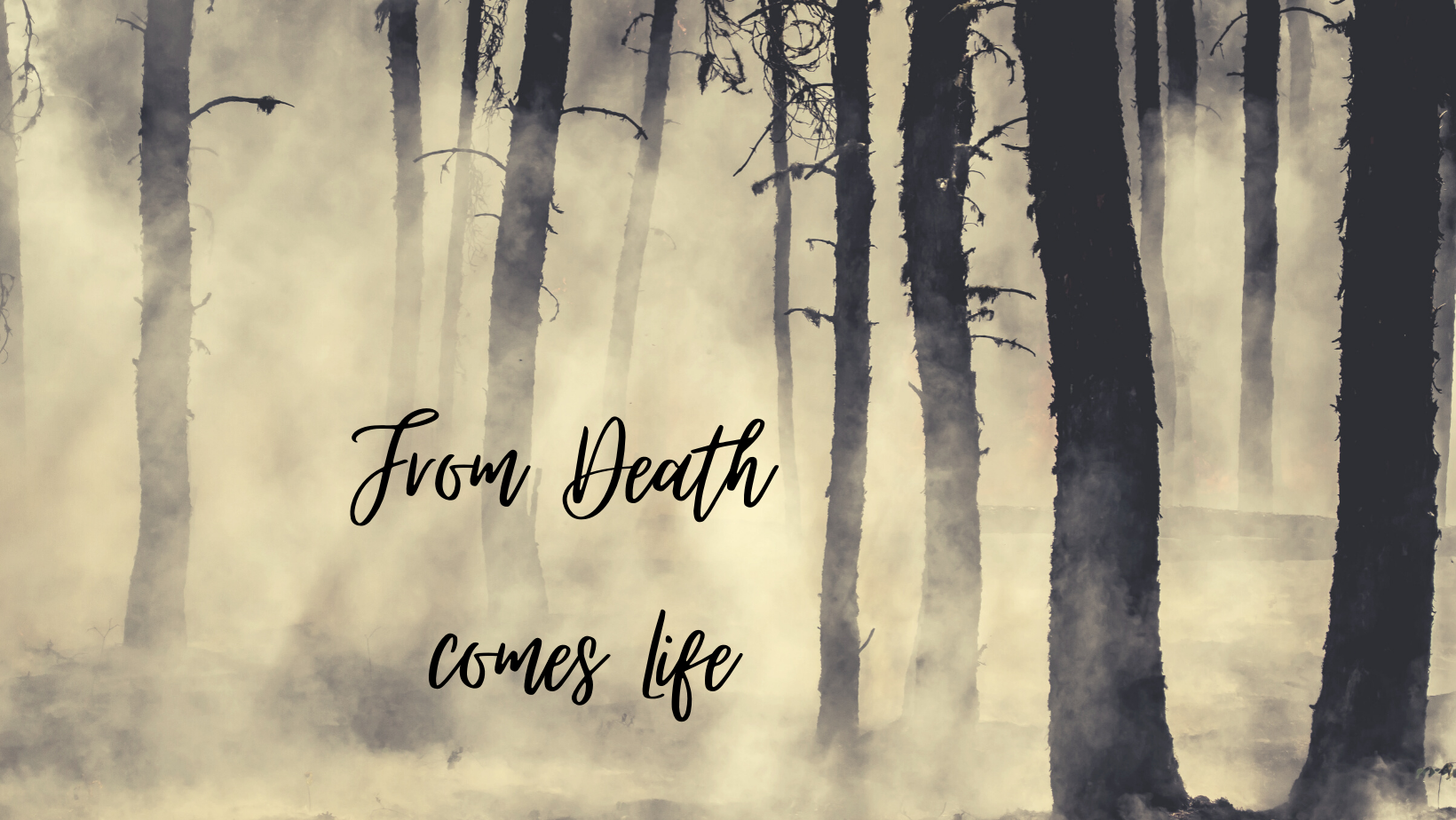 From Death comes Life by dahoon studios
