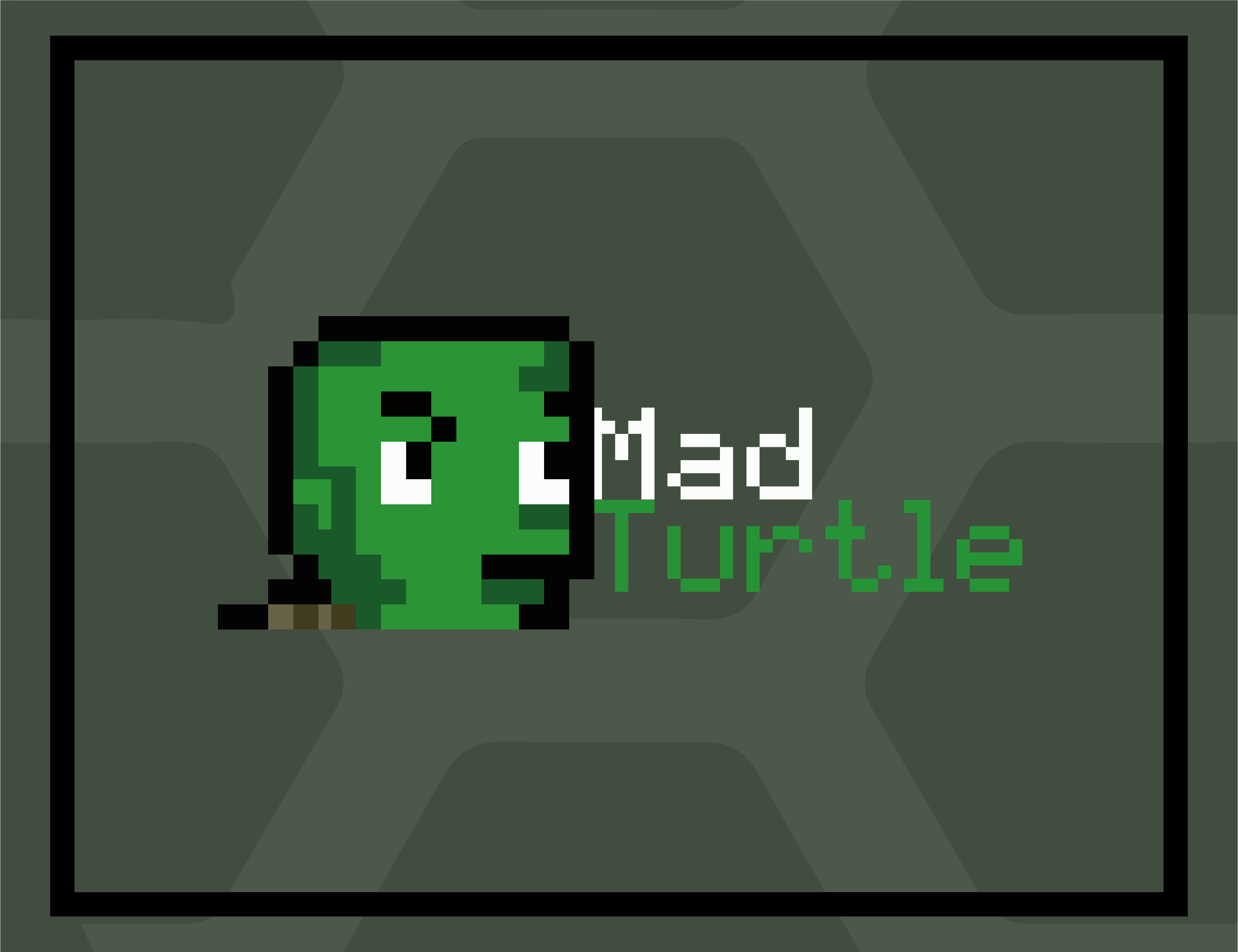 Mad Turtle by Bruno Cafe