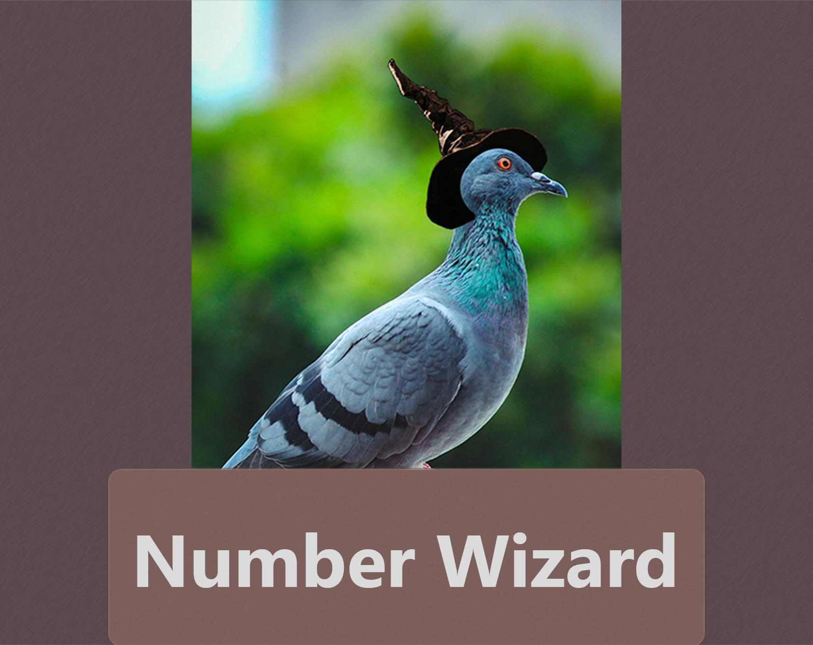 Number Wizard by Rusty