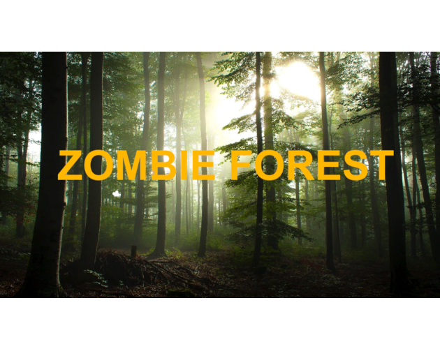 Zombie Forest Prototype by GonzaDC