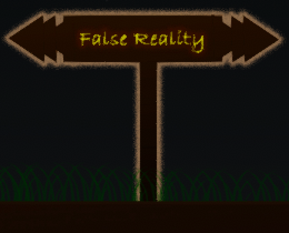 False Reality by Kavi