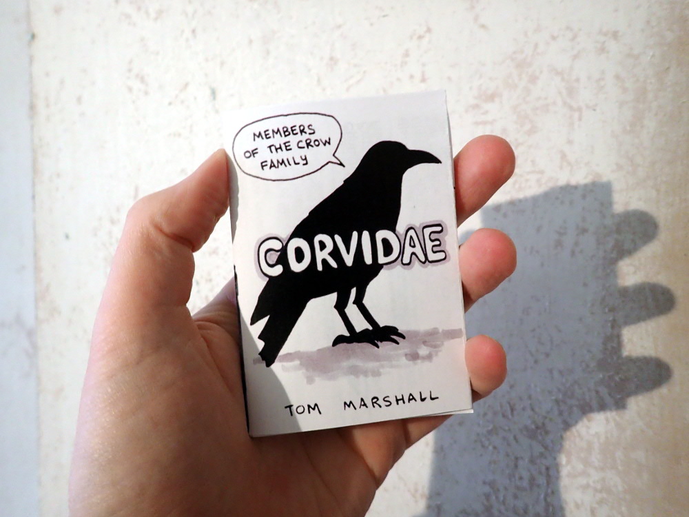 Corvidae by Smbsy