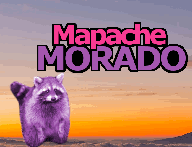 Mapache Morado by R1 studio for Jasper Game Jam - itch.io
