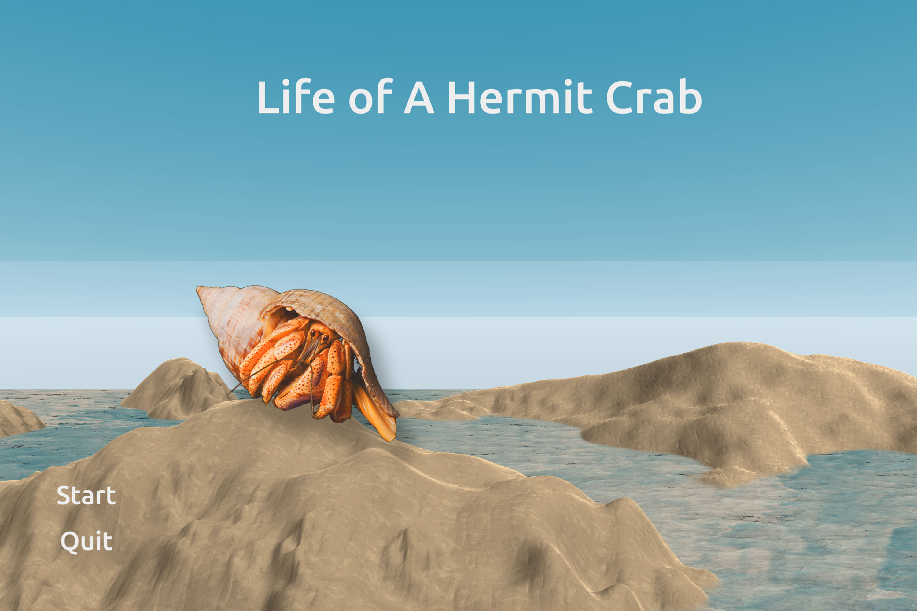 Life of a hermit crab by CrystalTan