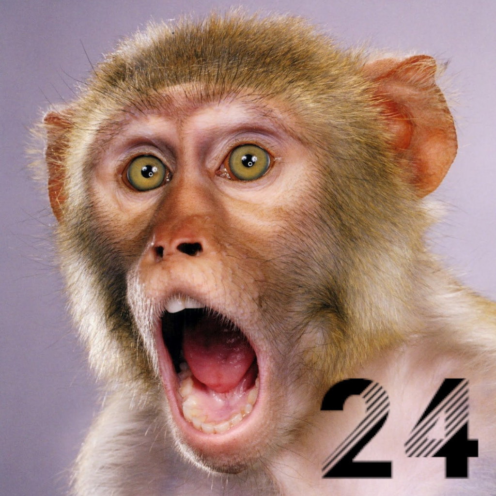 Monkey24 by Microwave22