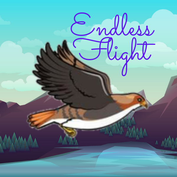 The Endless Flight by VilMan Studios