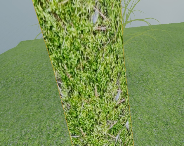 ground moss seamless textures by Dandruff