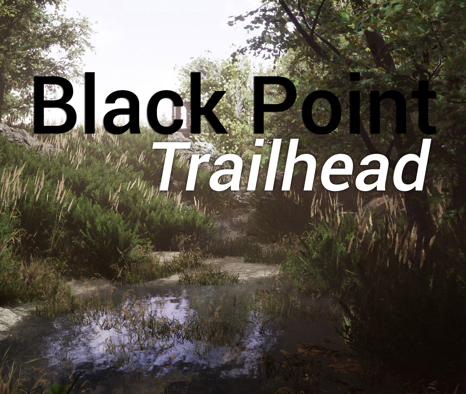 Black Point Trailhead by danduffy