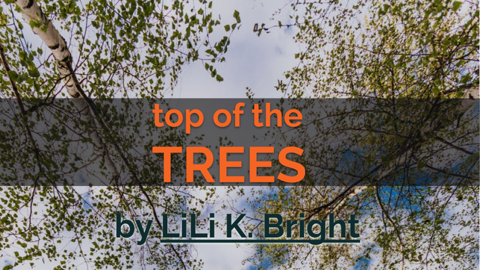 Top of the Trees by treely