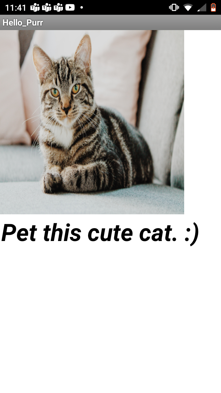 Hello_Purr by Jonathan Steadman