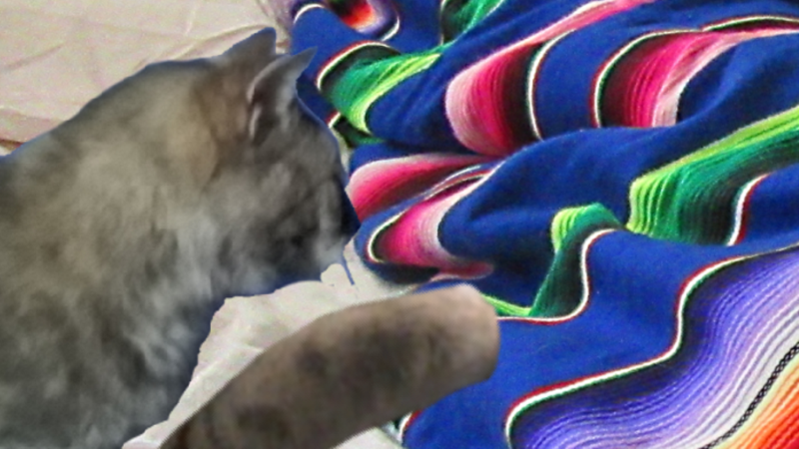 Quik Game is now playable online! - Quik Game by Hindbodes