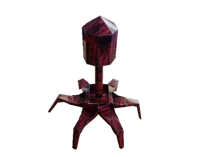 B-Phage Model by goliard