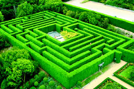 Enchanted Maze by Aseel1