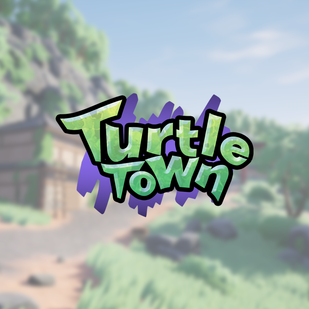 Turtle Town by Ben Babicka, Mimic With A Hat