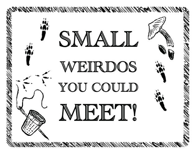 Small Weirdos You Could Meet! by Anna Aphelion