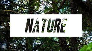 Nature Simulator by ItsKevTheDev