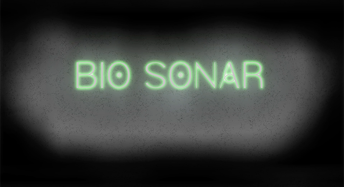 BIO SONAR by Talia Hamburg