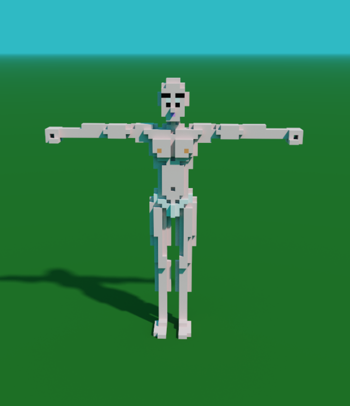 voxel human body by colombo0718