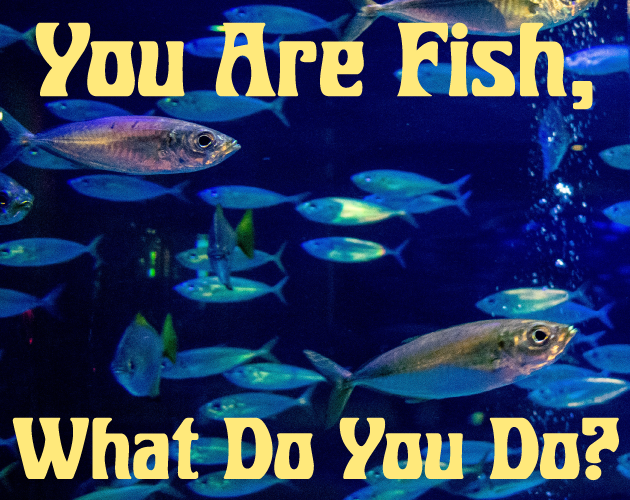 You Are Fish, What Do You Do? by Z Gosck