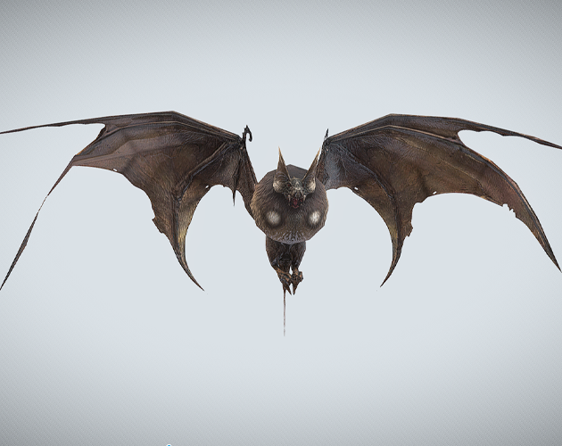 Cave Bat by GameSwan