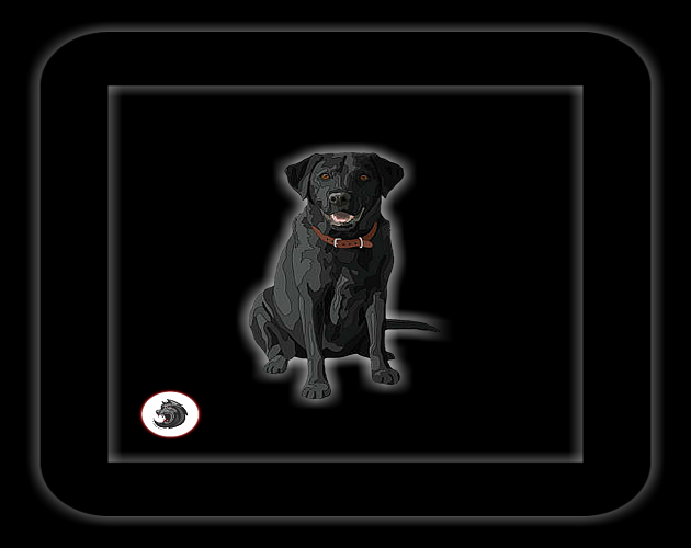 The Missing Dog by BMW Games, BMW Publishing