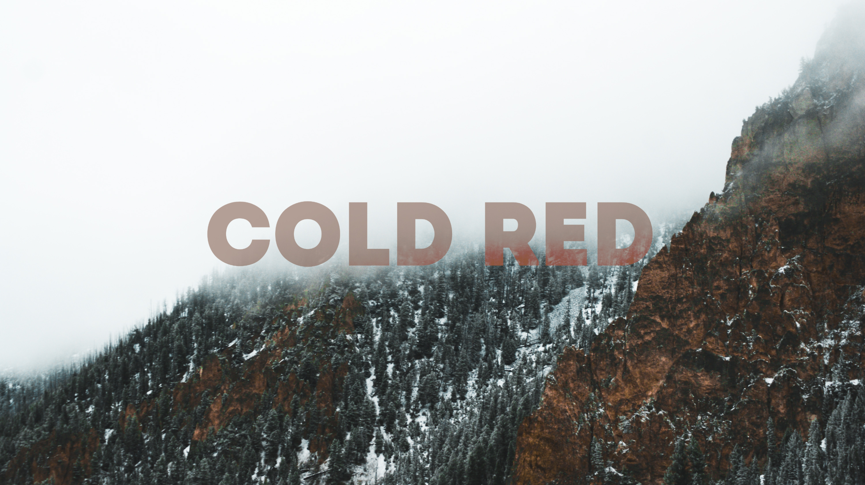 Cold Red Riding Hood by Tampered