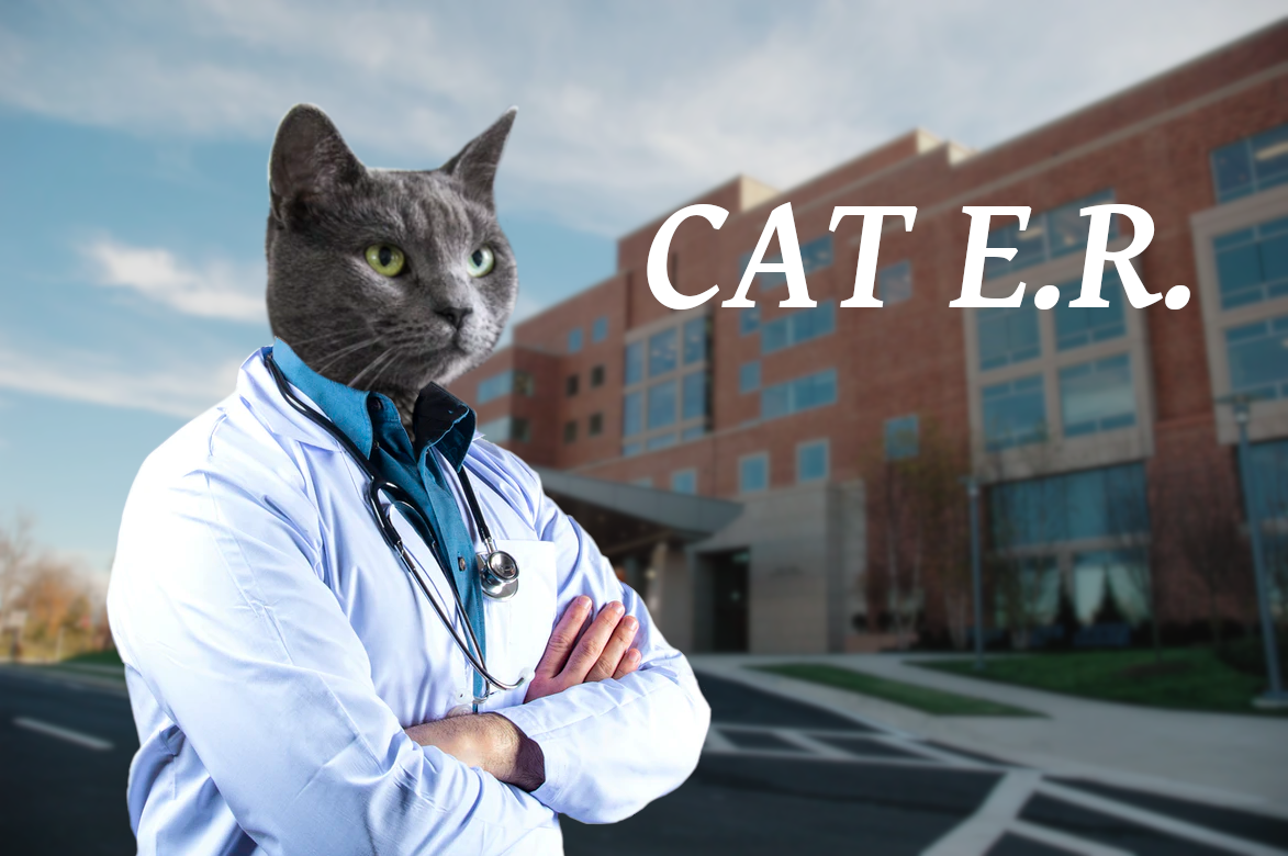 Cat ER by treesarefood