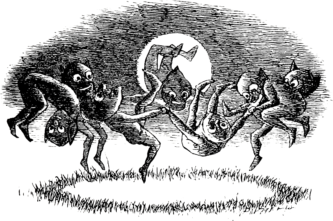 The Long Moonlight by E.B. Snakebones