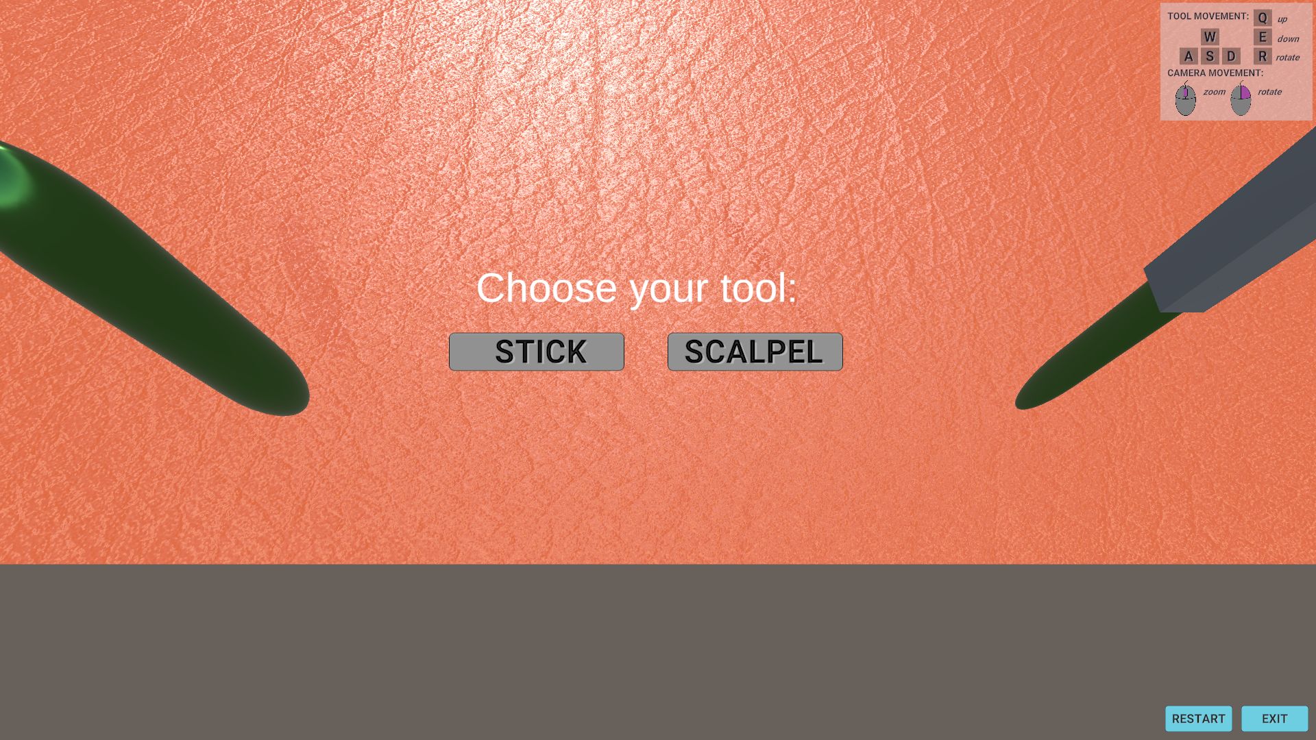 Soft Tissue simulator by aune_connie