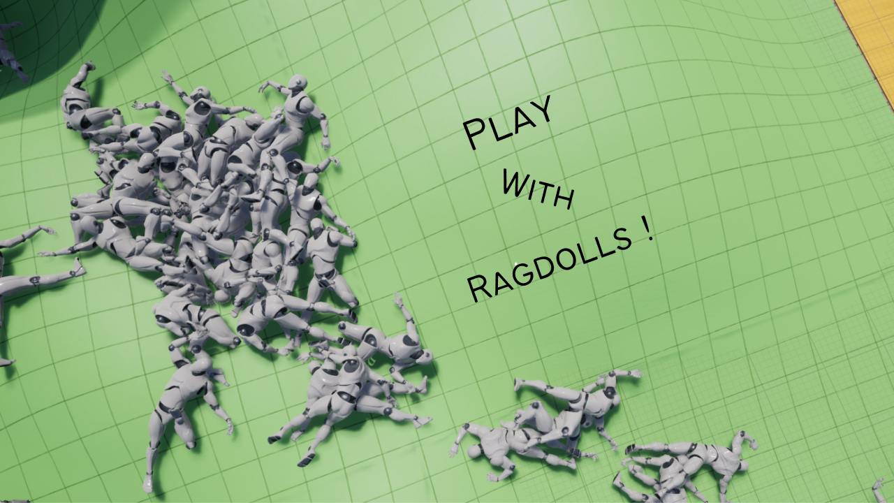 Play With Ragdolls by Ragdolldude
