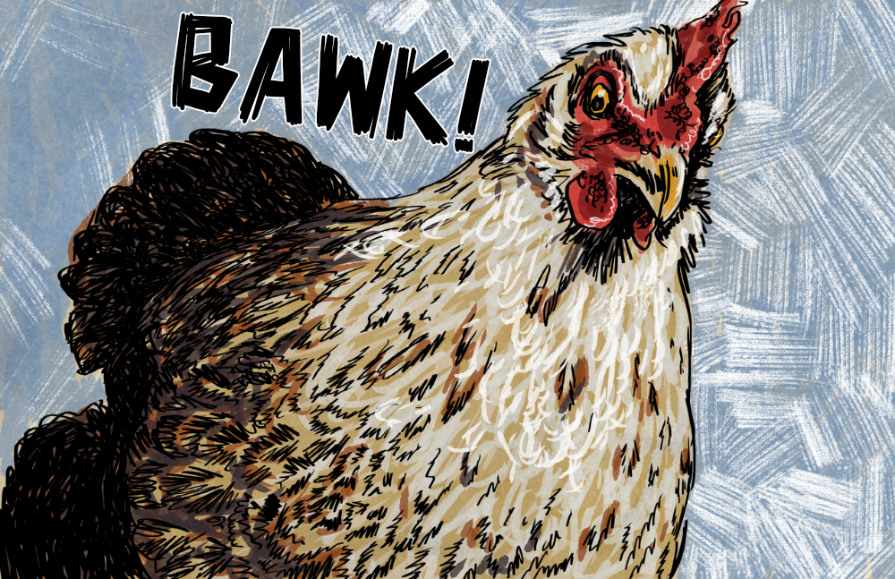 Bawk! by ZedNope