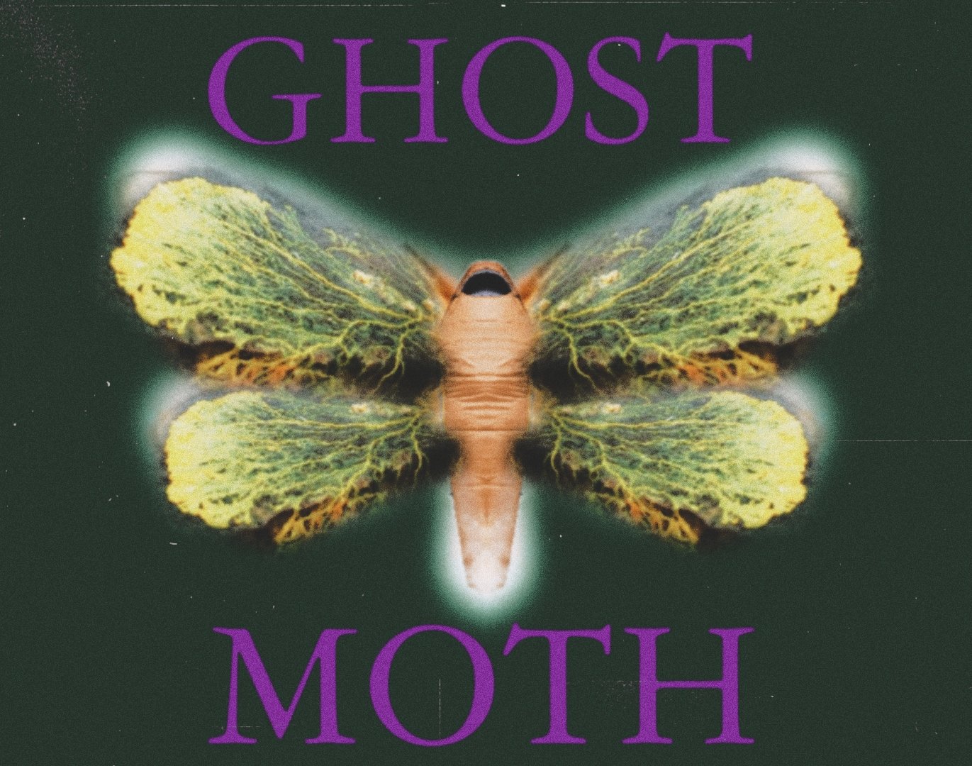 Ghost Moth v0.2 by Rhiannon N. Daly