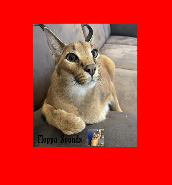 Floppa Sounds (2D) by ThatGameplayMaker