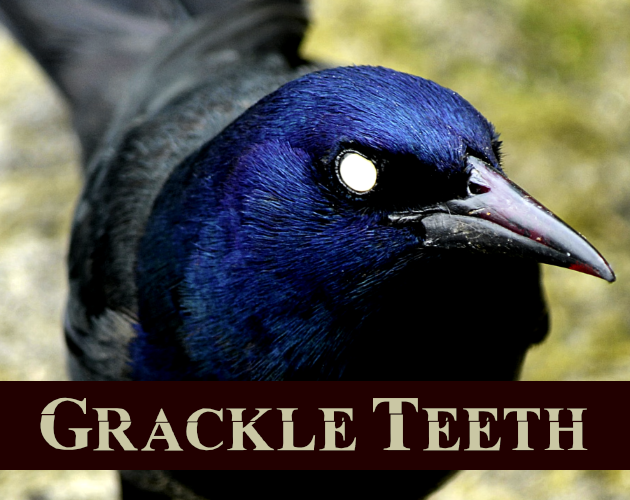 Grackle Teeth by Majcher Arcana