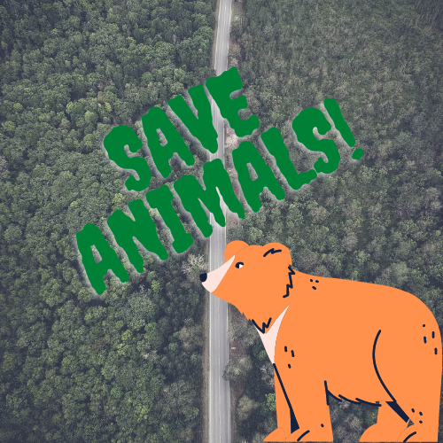 Save Animals by Ansh Sharma Games And Technology