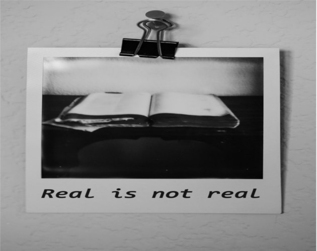 Real Is Not Real by WhoReallyCaresGames
