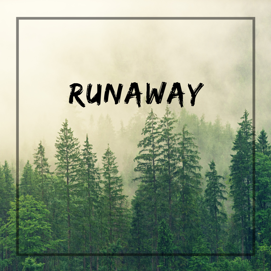Runaway Soundtrack by beanbunny