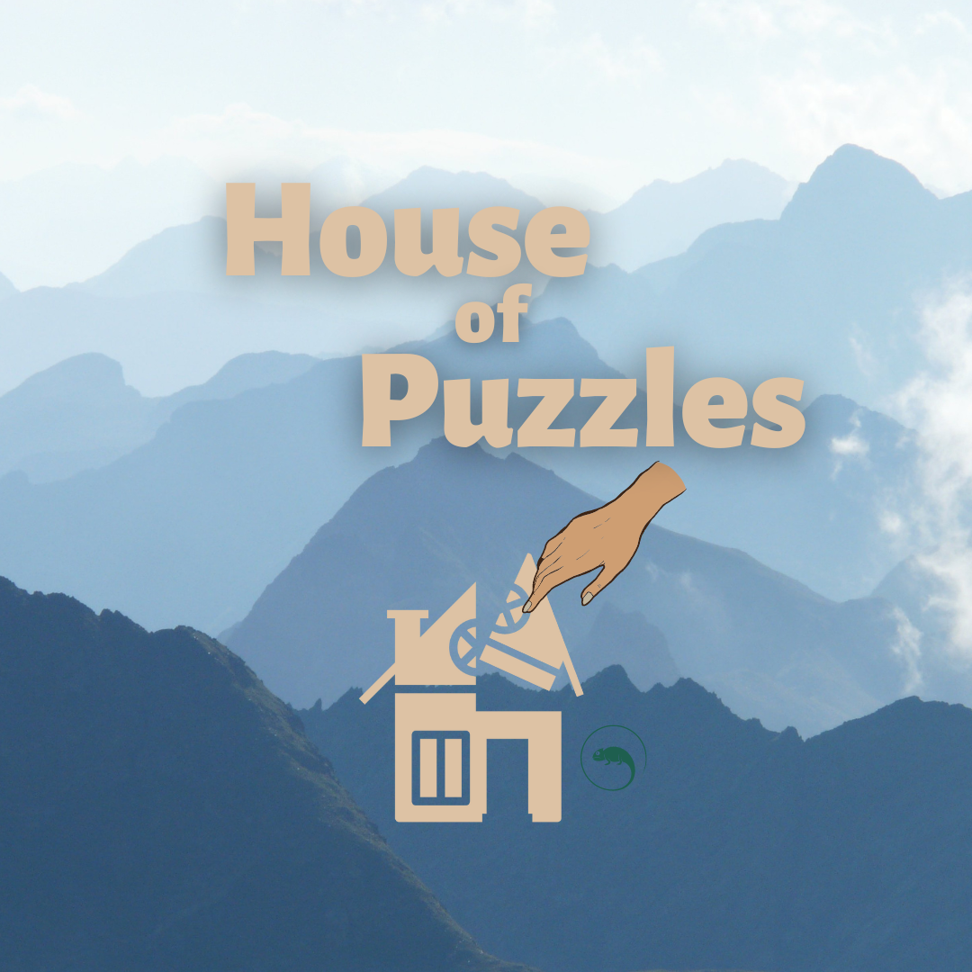 House of Puzzles Full Game by Pdot Creations